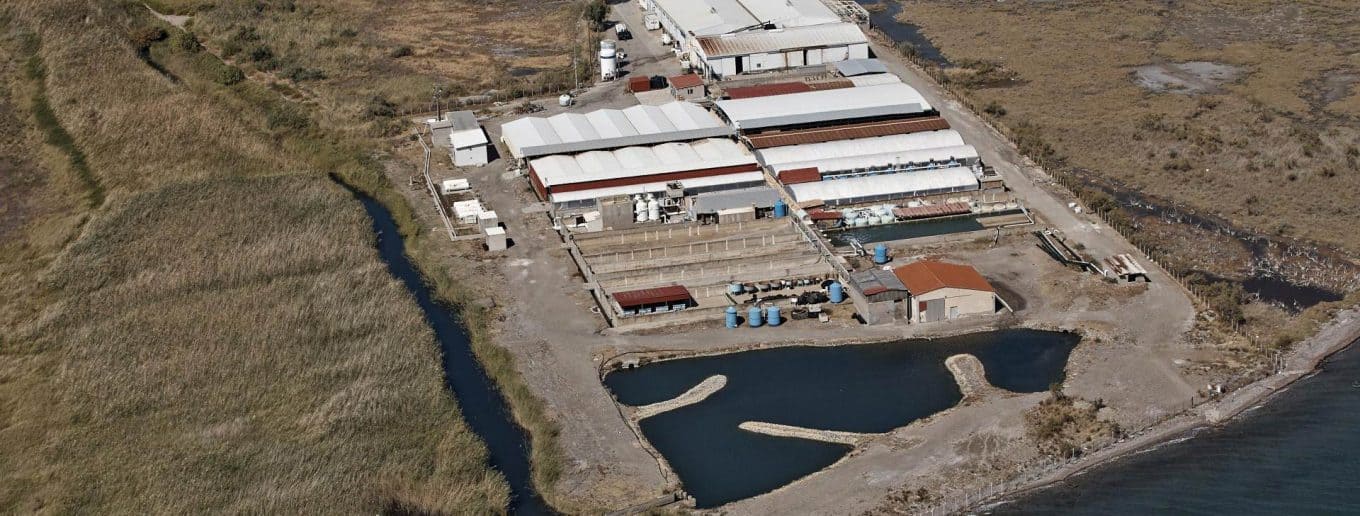 Land Based Aquaculture Fish Farming Filtration Solutions | RAS - MAT