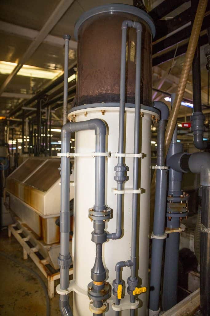 Hatchery, Grow Out facility, RAS & Operations | Akvatek