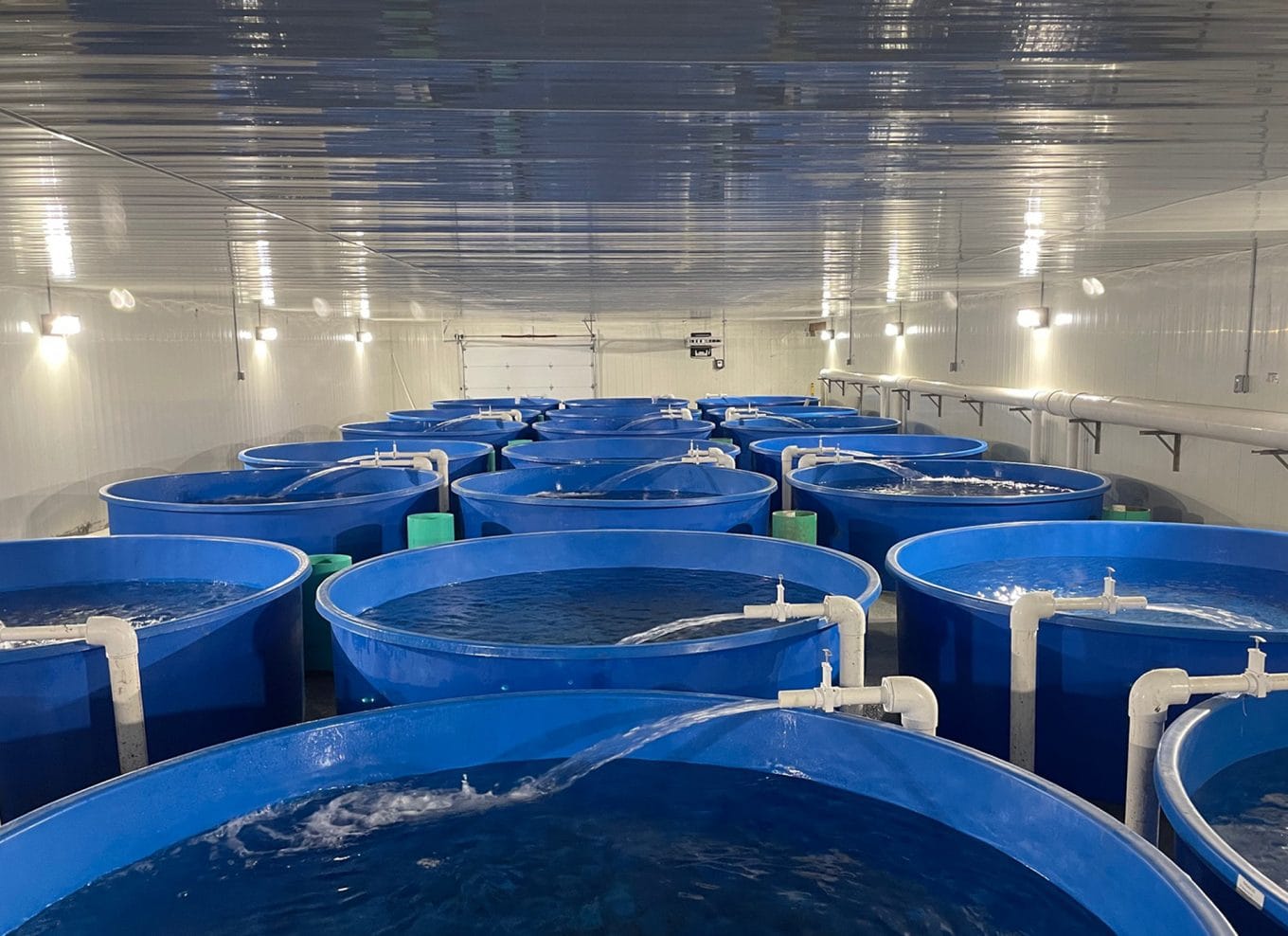 RAS Technology & Equipment for Les Bobines Rainbow Trout Fish Farm