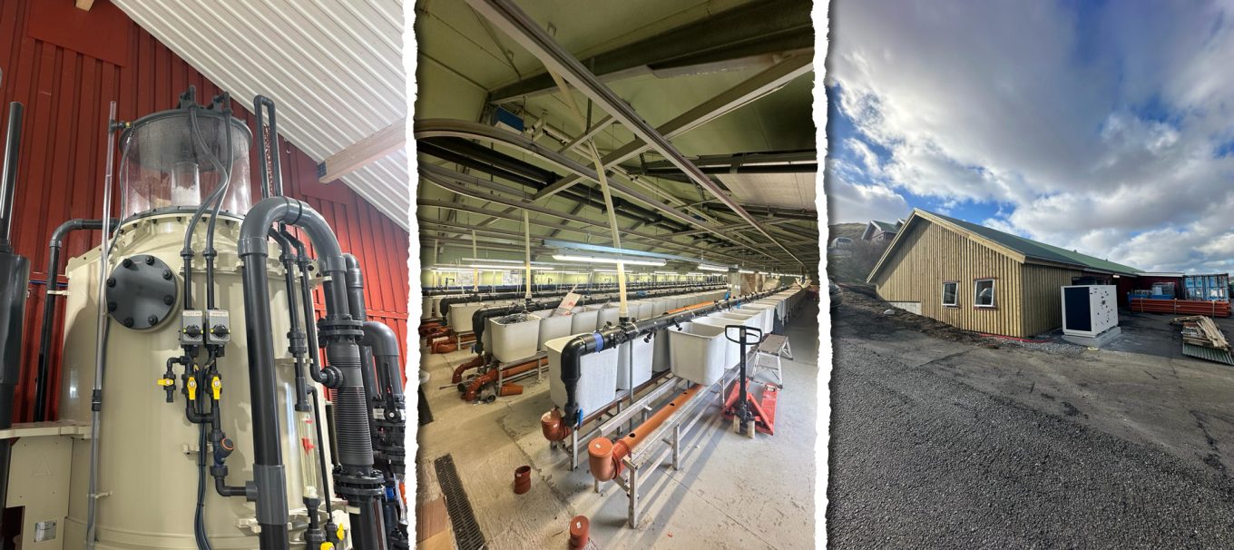 Fabrication of the Complete RAS at Bakkafrost, Faroe Islands