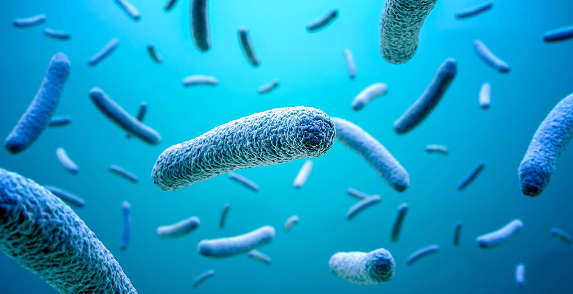 UV Disinfection in Water Treatment: Systems & Wavelength